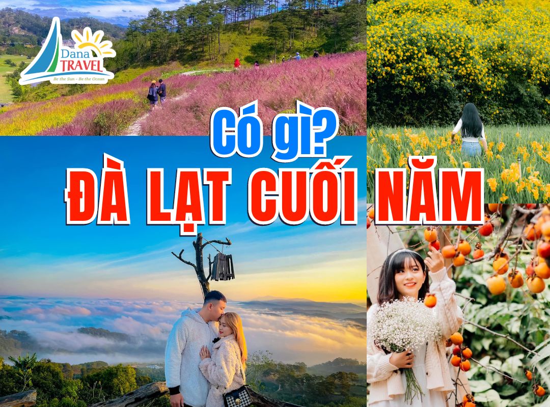 5 Điều Đặc Biệt Ở Đà Lạt Dịp Cuối Năm Có Thể Bạn Chưa Biết
